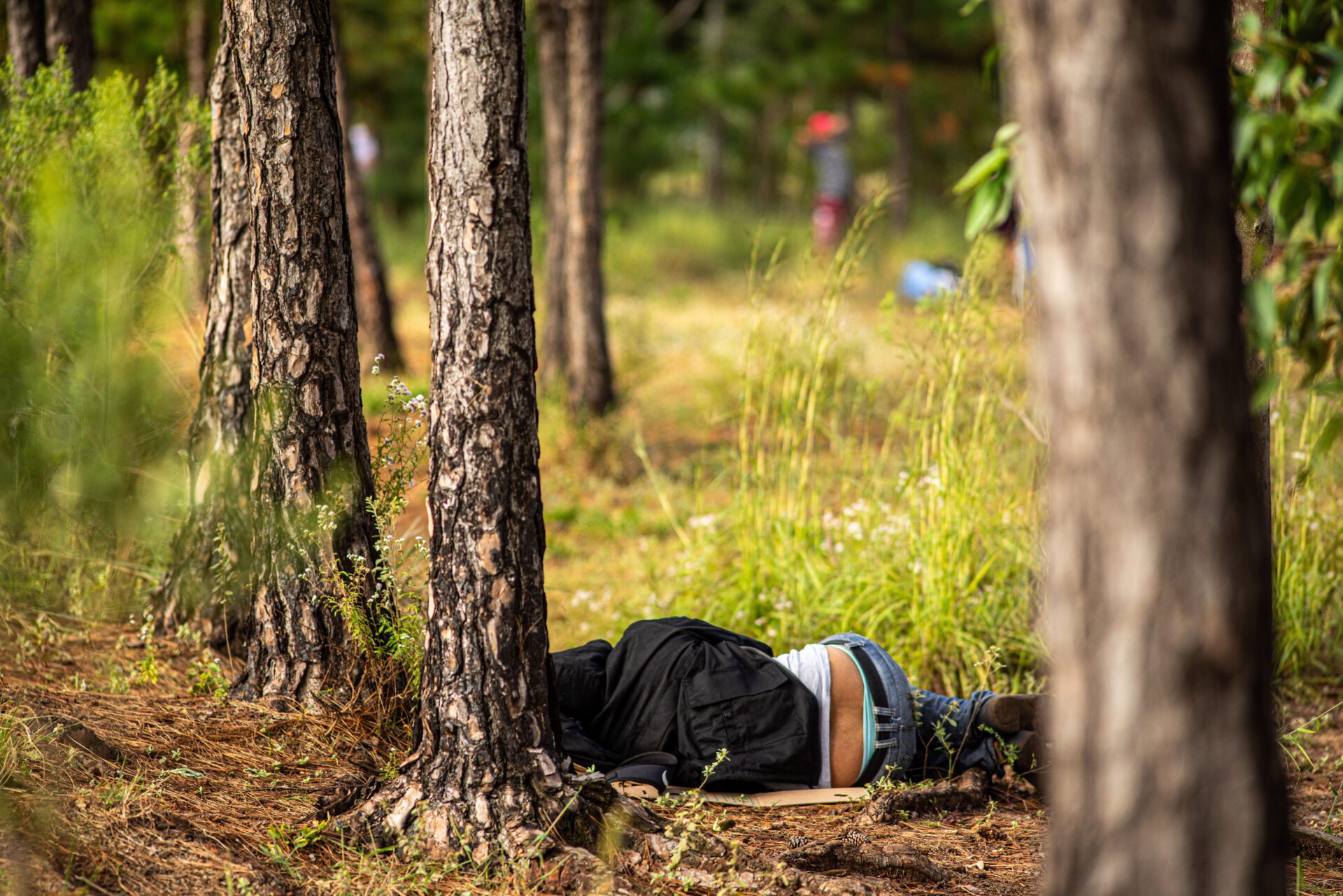 Home in Place supported the 2024 Street Count : Home In Place