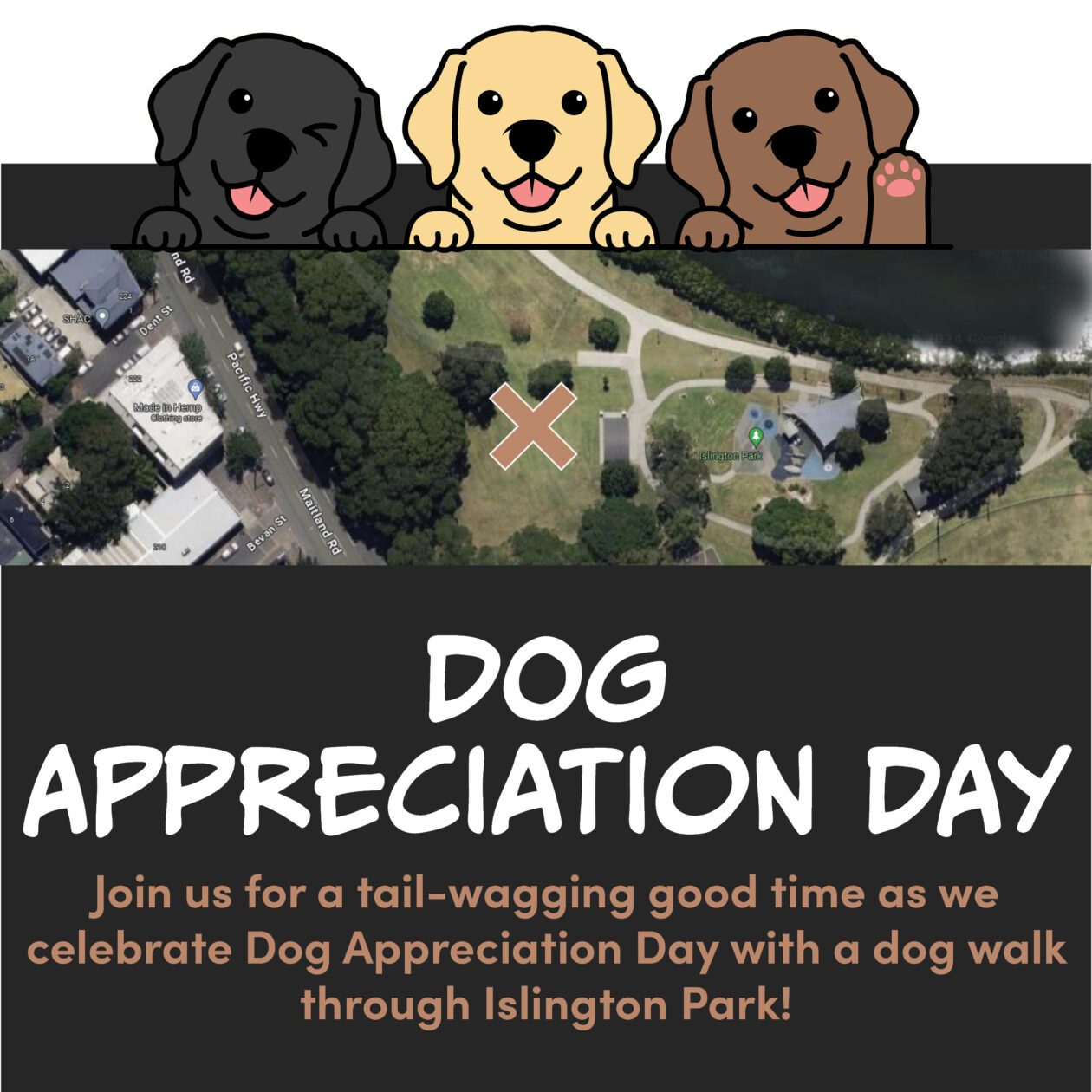 Dog Appreciation Day : Home In Place